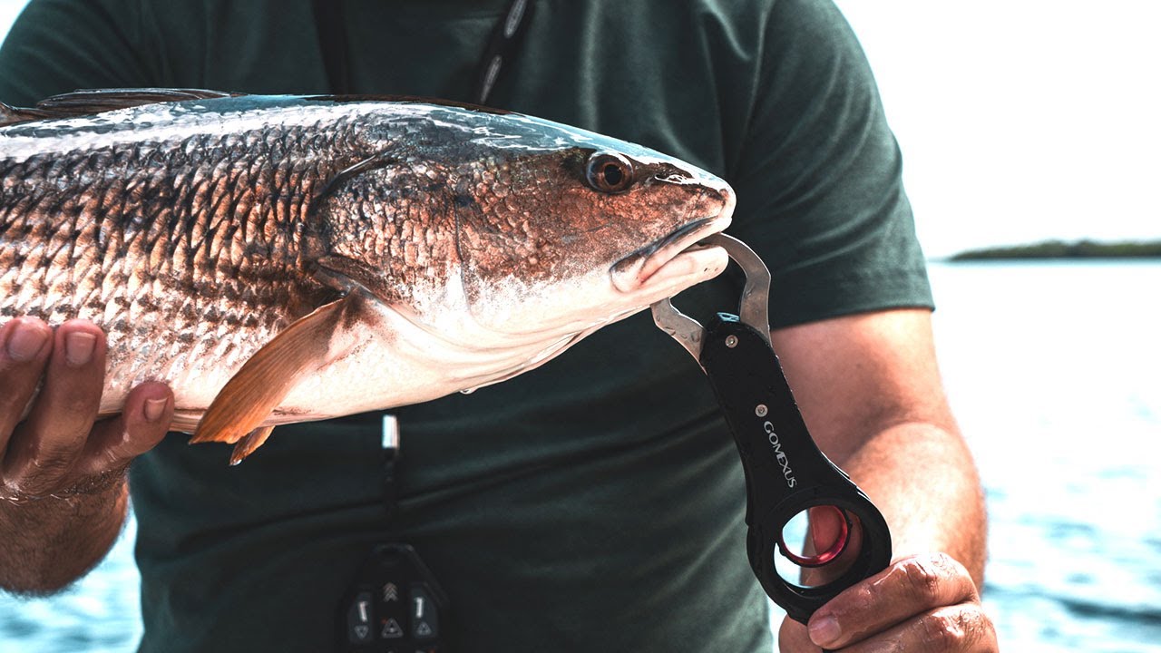 The Ultimate Fish Grip? First Look at Gomexus Fish Grips! - YouTube