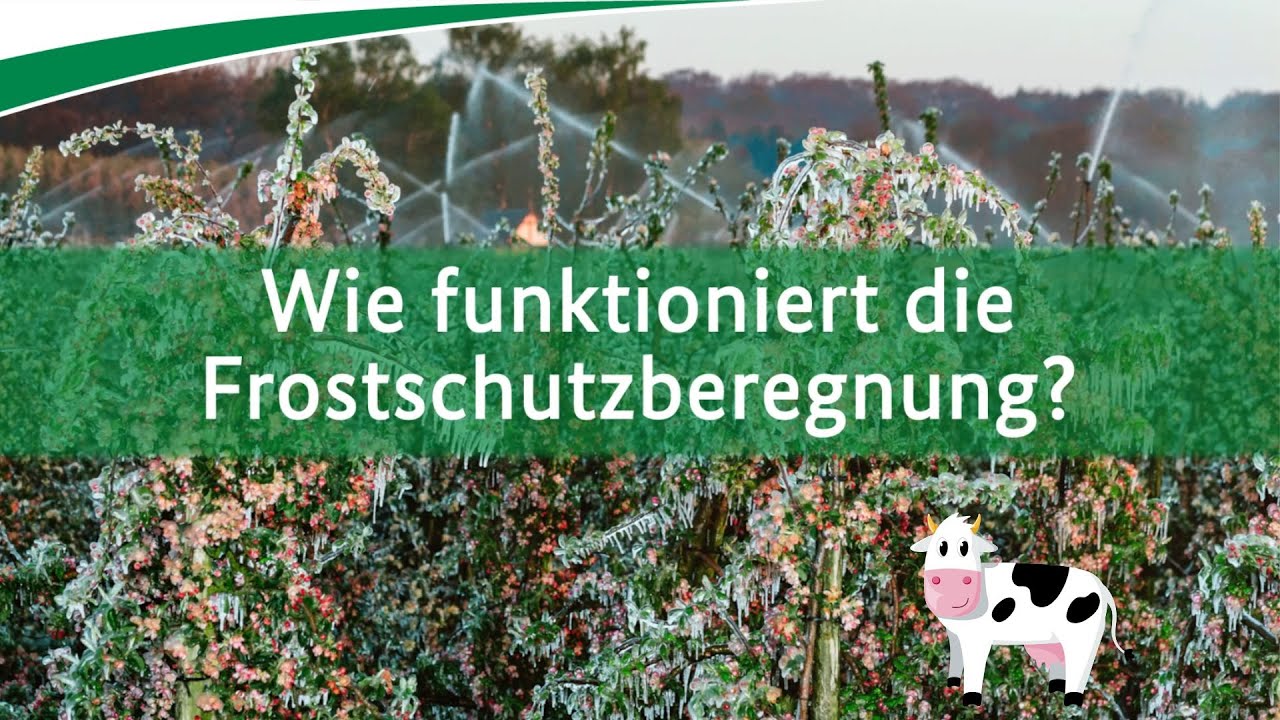Welche Aufgaben Erfullen Frostschutzmittel Im Kuhlflussigkeitskreislauf