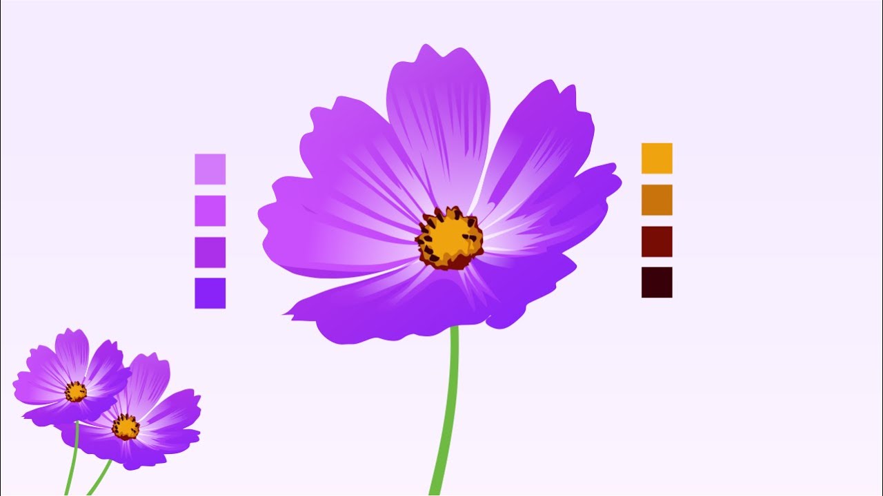 How to Trace Flower to Vector using Corel DRAW - YouTube