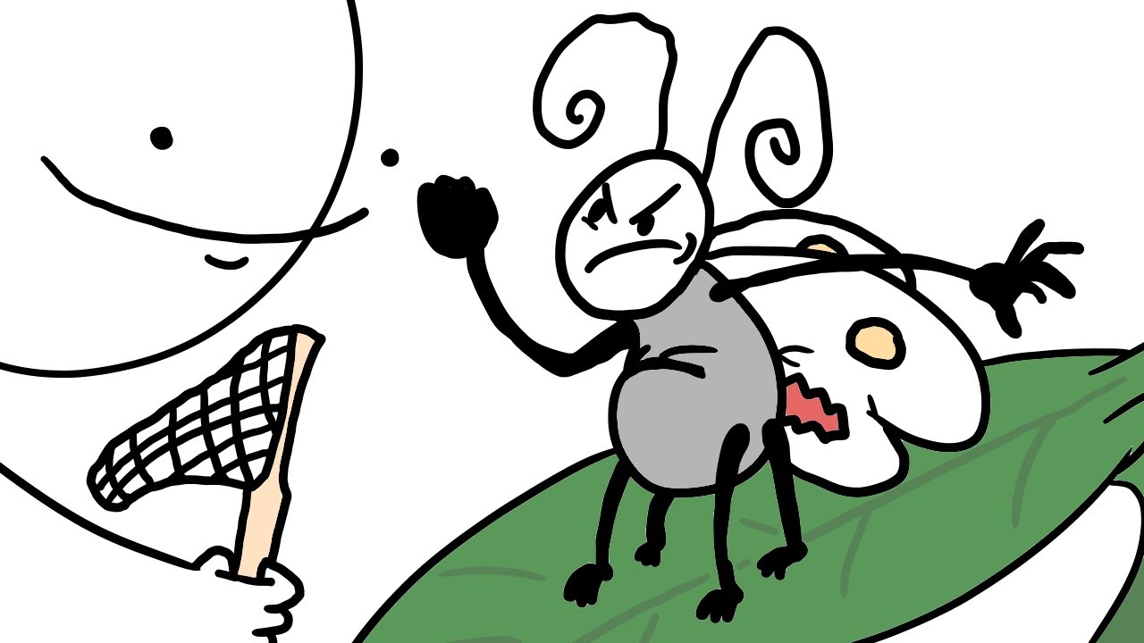 How butterflies see us - YouTube