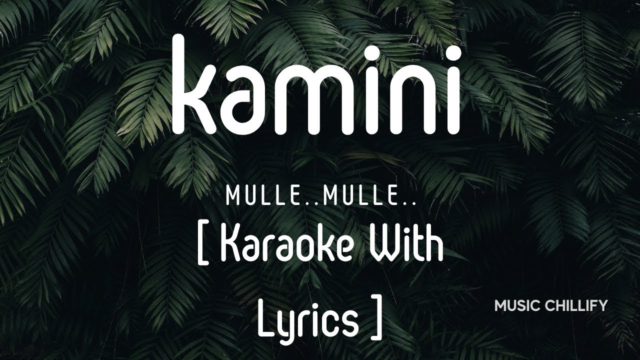 Kamini Song Karaoke With Lyrics | #KARAOKE #MulleMulle # ...