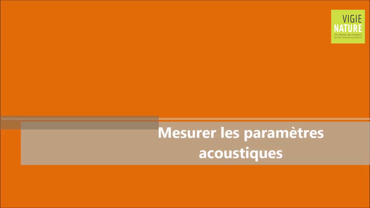 Introduction au logiciel Syrinx - YouTube