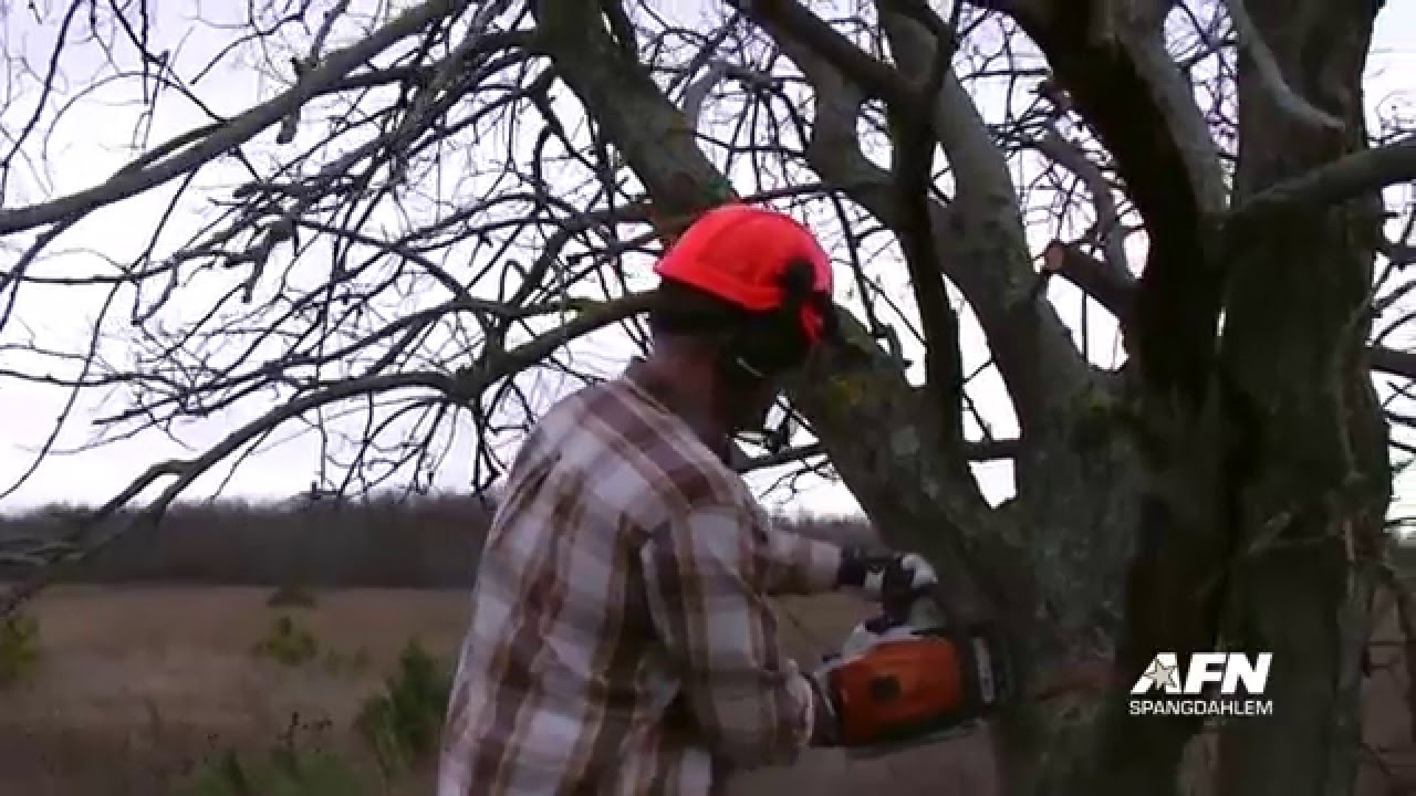 Operation Lumberjack - YouTube