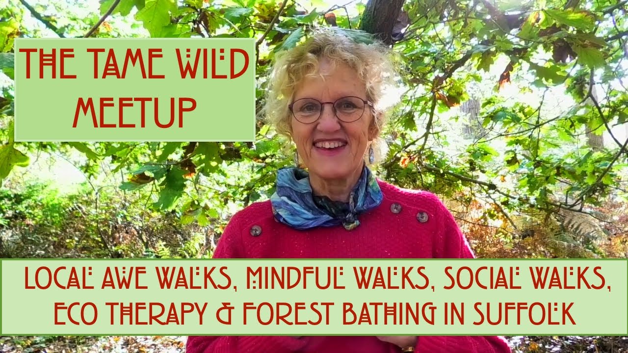 The Tame Wild Meetup Group "Awe Walks" Forest Bathing walks in the ...