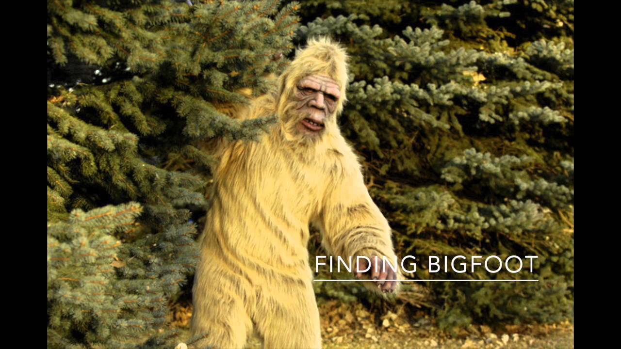'Finding Bigfoot' Team Discusses Search for a Sasquatch - YouTube