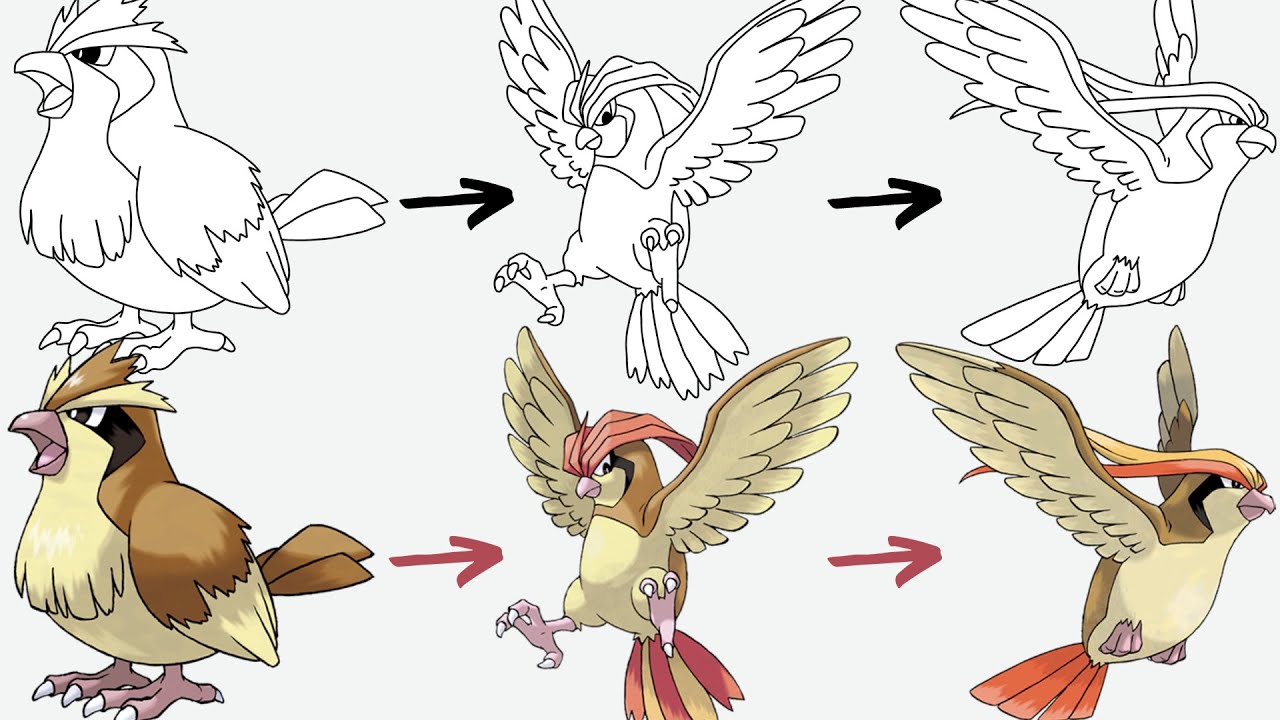 How To Draw PIDGEY, PIDGEOTTO, PIDGEOT POKEMON | Pokemon Evolution ...