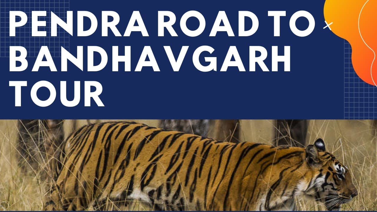 Pendra Road To Bandhavgarh Tour | Pendra To Bandhavgarh Tour | Pendra ...