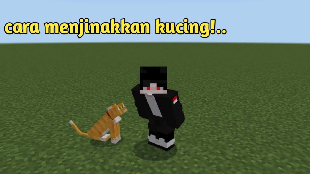 cara menjinakkan kucing di minecraft - YouTube