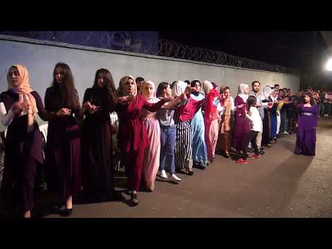 grup nergiz kargıpınarı delilo irtibat 0536 491 47 18 abone olmayı unutmayınız