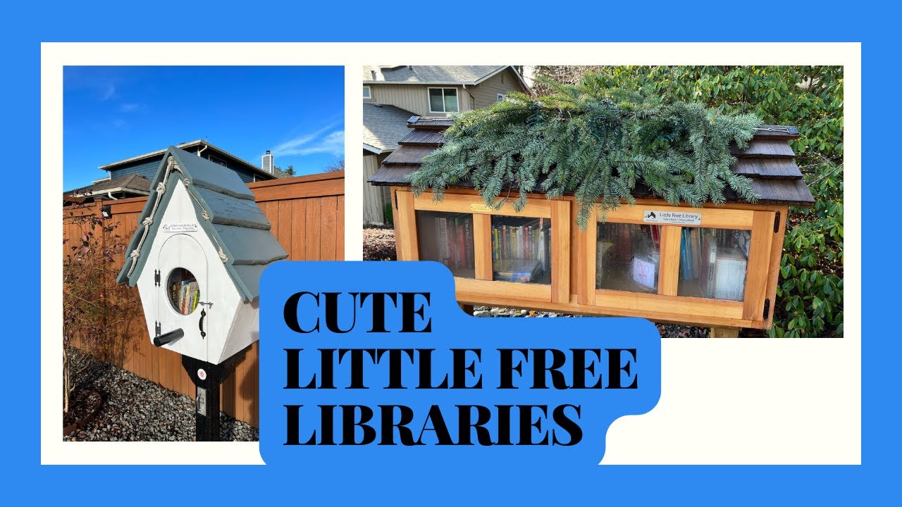 Absolutely ADORABLE Little Free Libraries! 📚💥 - YouTube