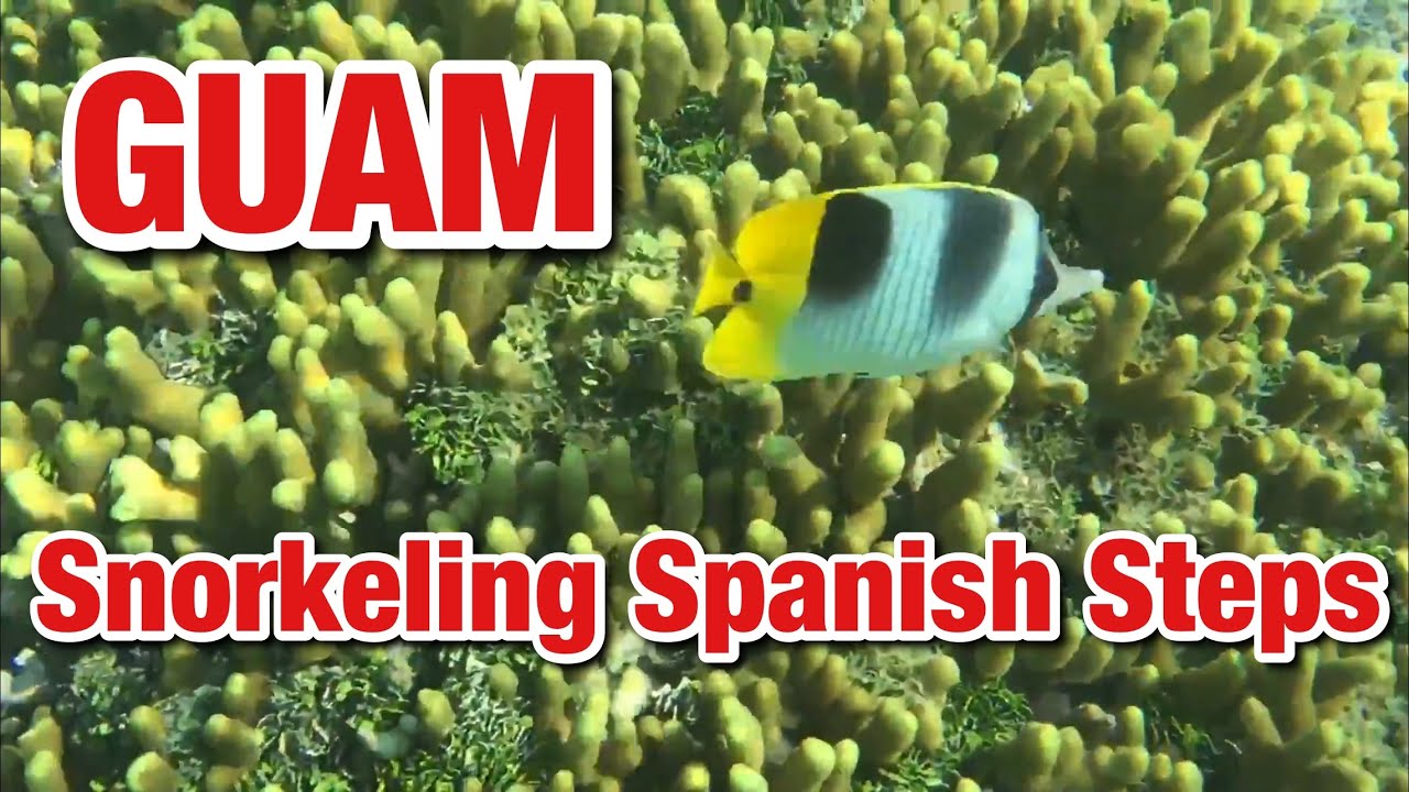Snorkeling in Guam: Spanish Steps - YouTube