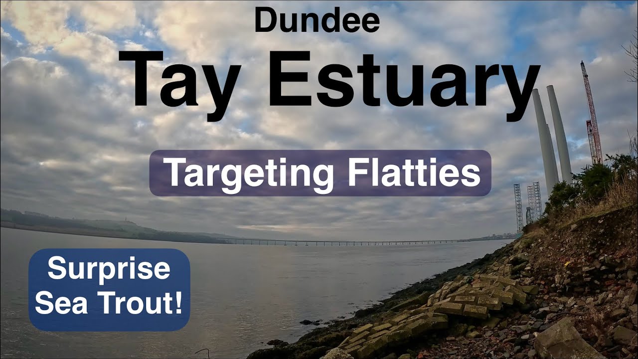 Sea Fishing Scotland - Tay Estuary - Dab and Sea Trout - Plus ...