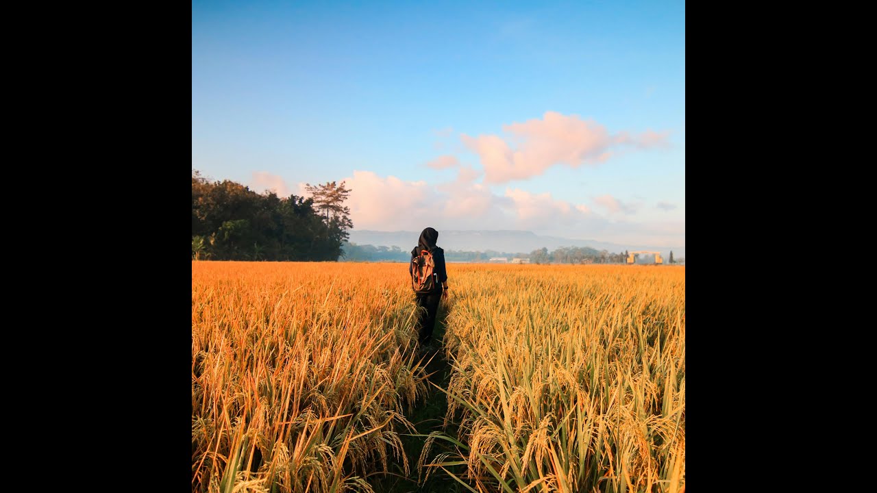 Entendiendo mi propio yo/ Soy extraordinario parte II - YouTube