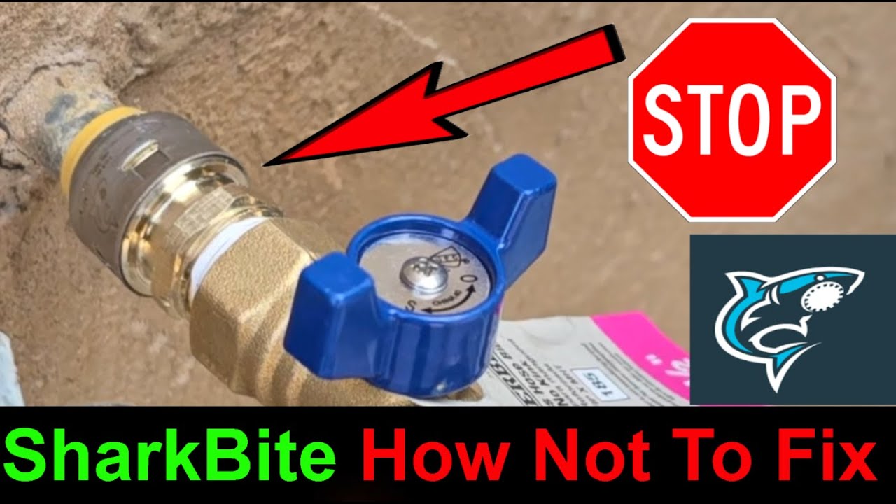 🛑 Stop Before You Buy SharkBite Fittings (How Not To Fix) - YouTube