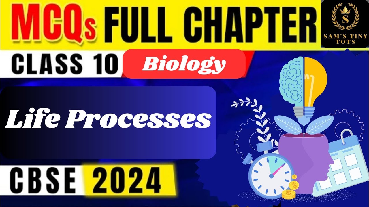 Class 10| MCQs Of Life Processes|Biology #science #class 10 - YouTube