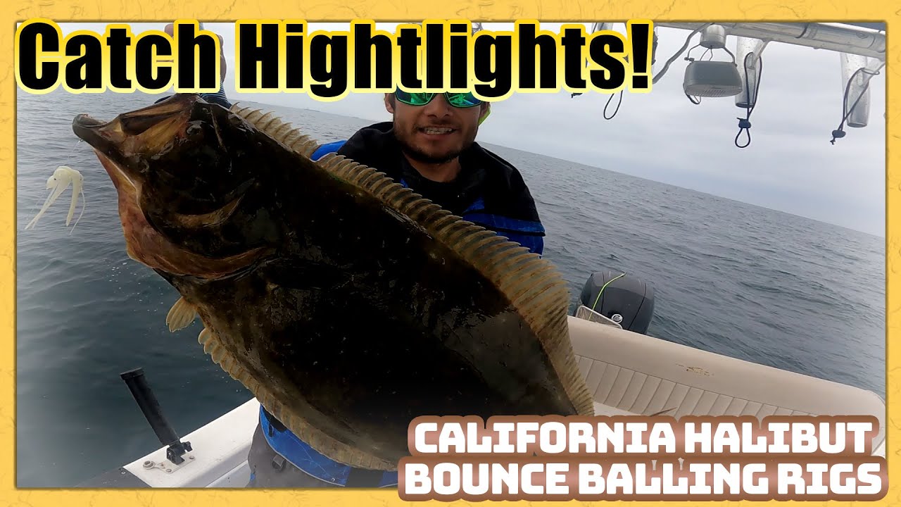 40 1/8" California Halibut and 2 More! Bounce Ball Rig Fishing! - YouTube