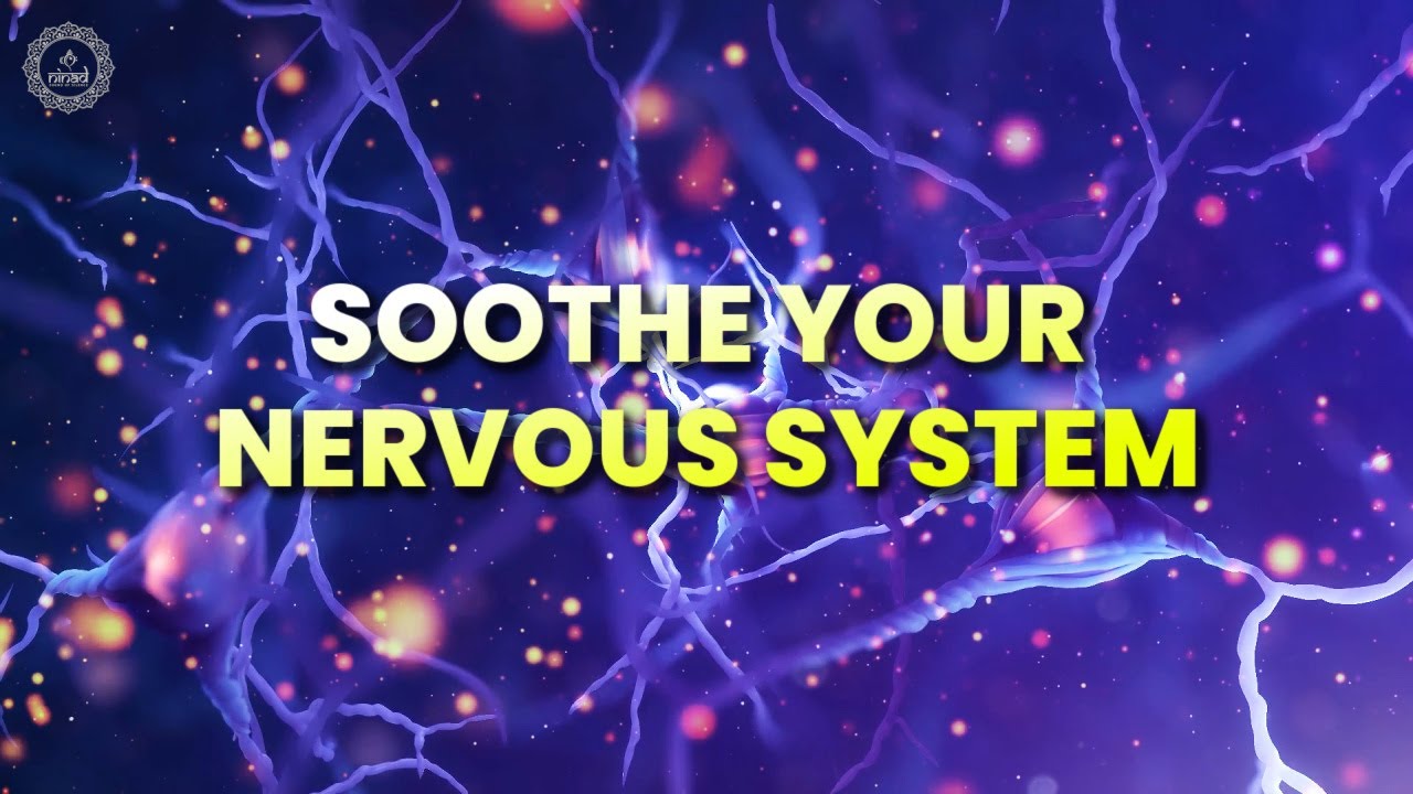 Soothe Your Nervous System | Vagus Nerve Stimulation Meditation ...