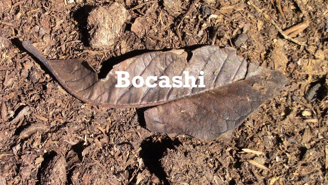ELABORACIÓN DE BOCASHI (Video 1 del Curso Huertos Urbanos) - YouTube