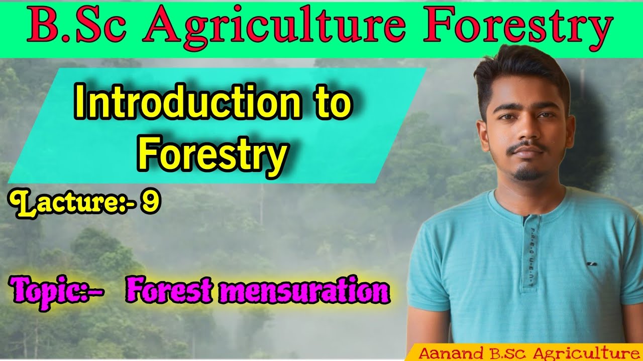 Forest mensuration | Forest mensuration in forestry | Introduction to ...
