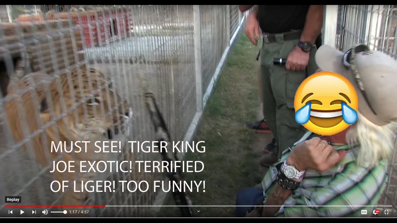 MUST WATCH! Joe Exotic aka Tiger King Runs From Liger - Can't Believe ...