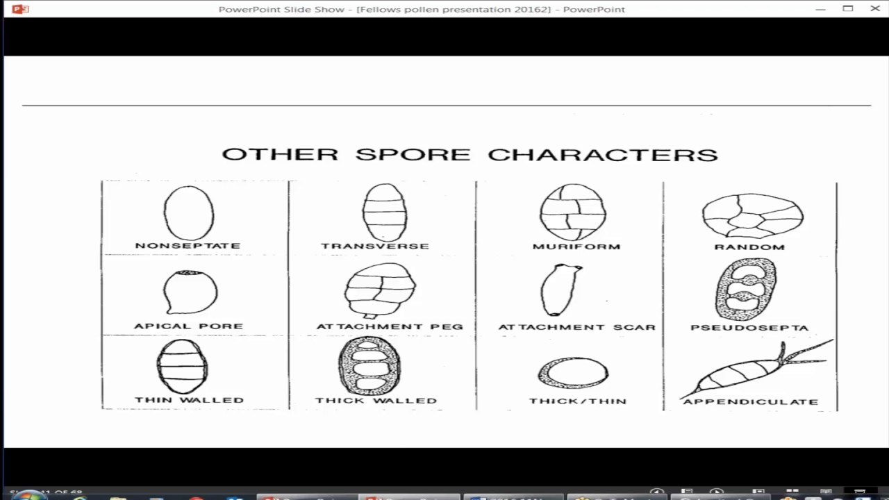 Pollen and Spore counting, Part 2 (Barnes) - YouTube