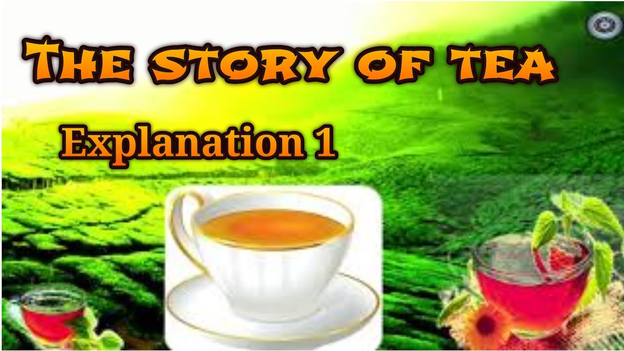 The story of tea explanation part 1 - YouTube