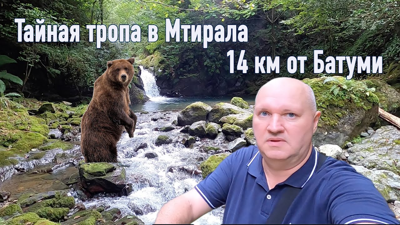 Тайная тропа в Мтирала парк. Дикая природа Батуми | Batumi Wild Nature ...