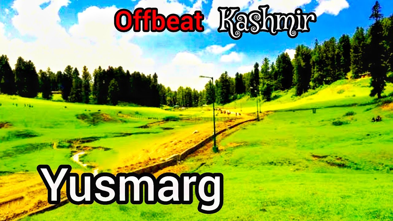 Yusmarg Kashmir 2023 - The Meadow of Jesus | Offbeat Place in Kashmir ...