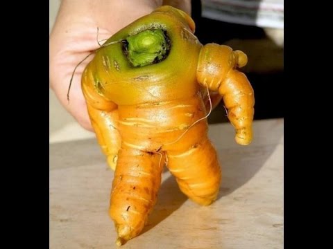 أغرب الفواكه و الخضراوات في العالم most freaky vegetables & fruit - YouTube