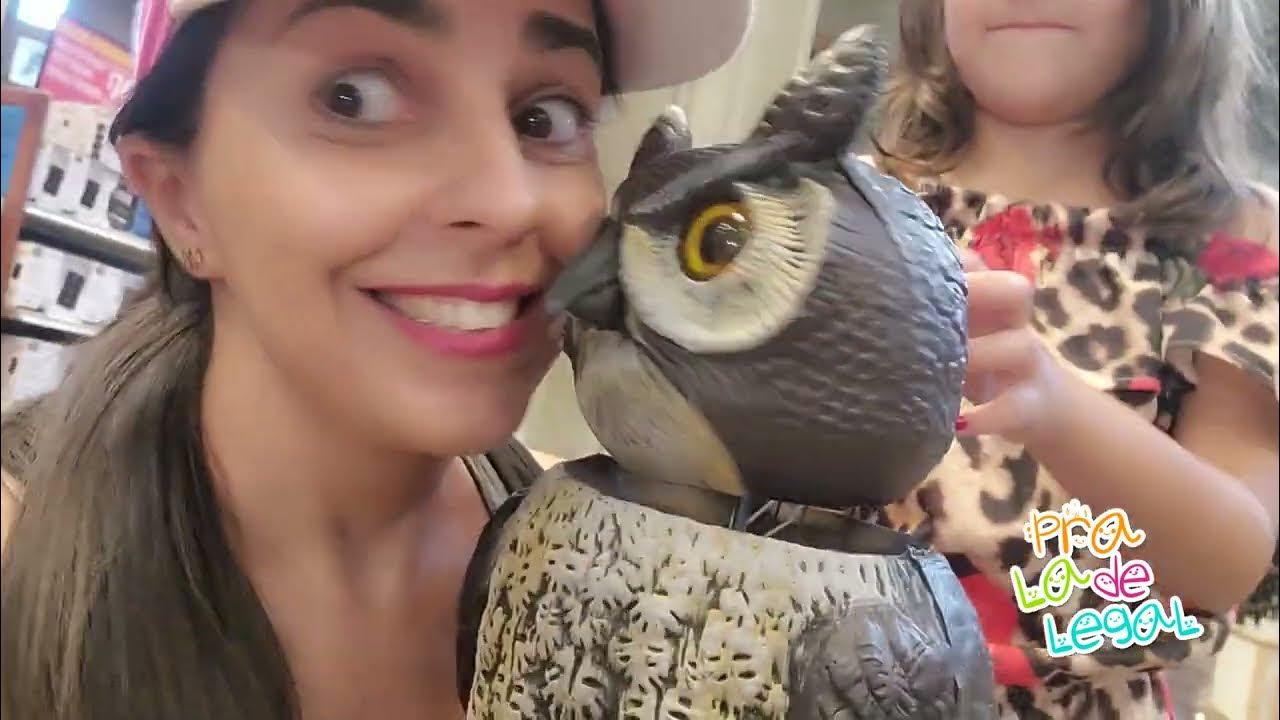 Bass Pro Shop Orlando Pra Lá De Legal Youtube