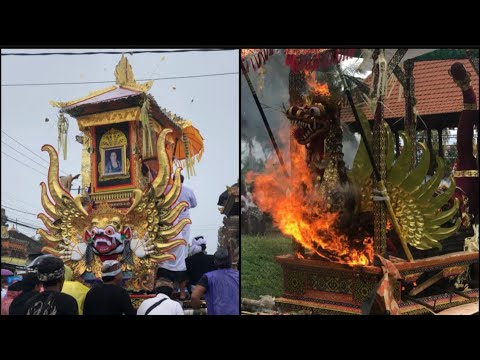 Dokumentasi Pelebon “I GUSTI AYU RAKA SETIAWATI” Puri Kawan Carangsari ...