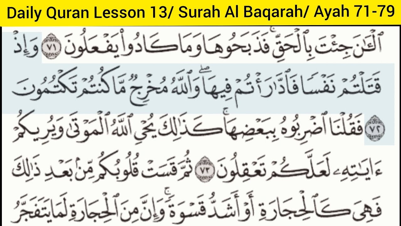 Daily Quran Lesson 13 | Surah Al Baqarah | Ayah from 71 to 79 | Online ...