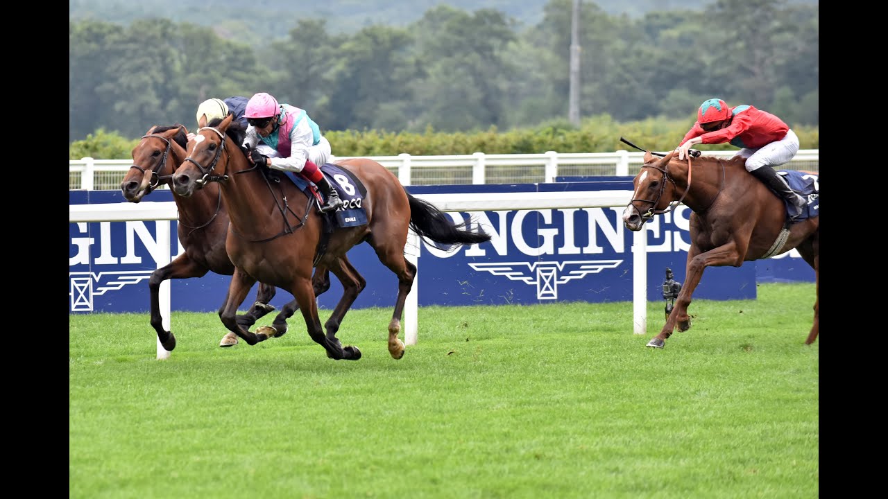 ENABLE - 2019 Co-Longines World's Best Racehorse - YouTube