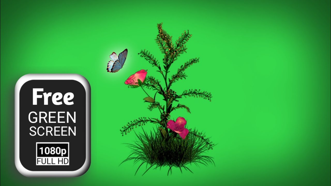 flower green screen video effect | green screen flower animation ...