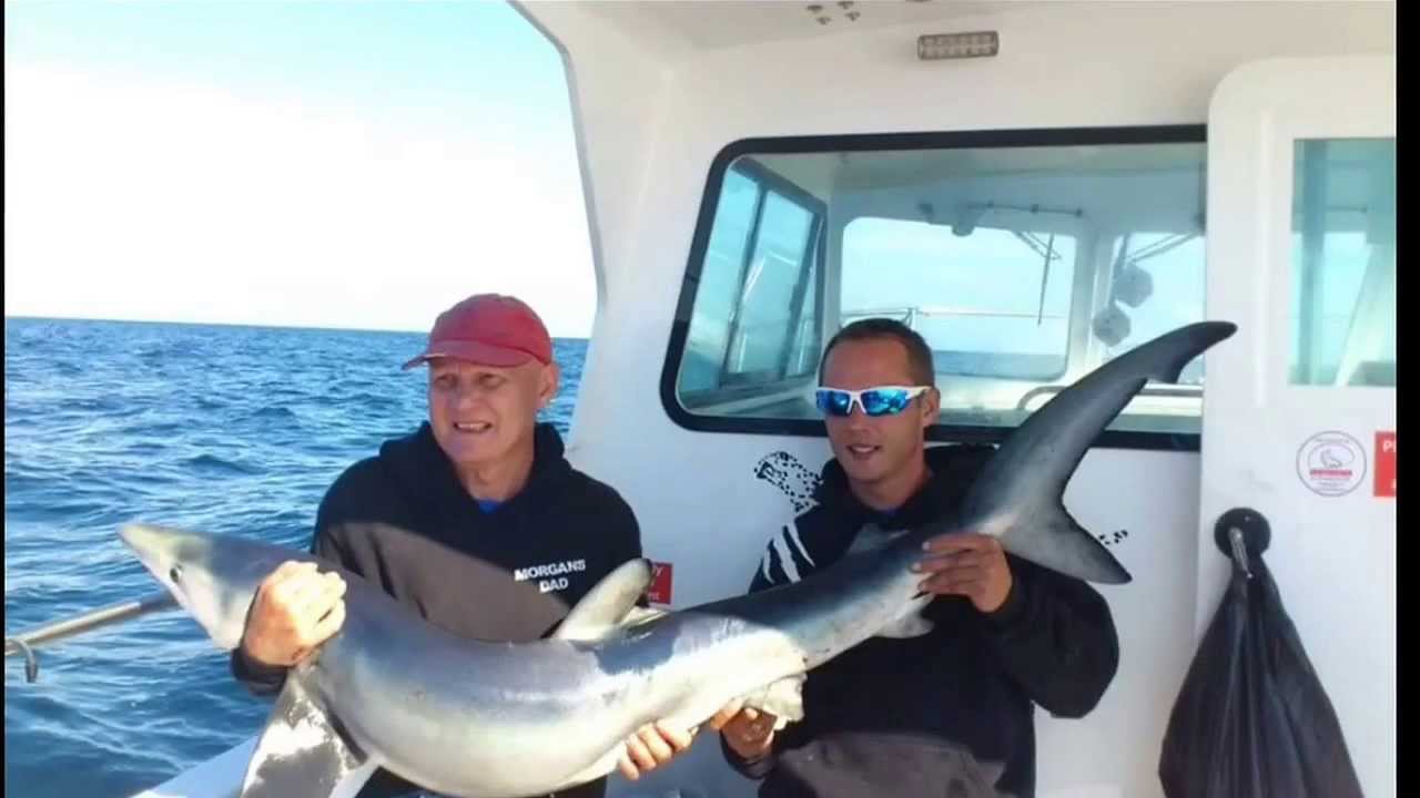 Milford haven shark fishing 2013 - YouTube
