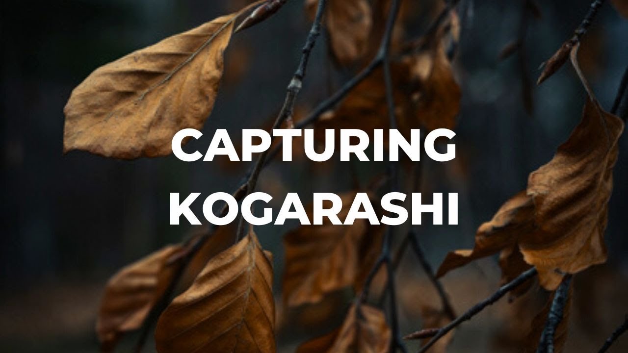 Photographing Japanese Aesthetics : Kogarashi - A Cold Wind That Ushers in Winter - YouTube