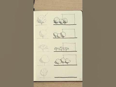 Quick and Easy Sketching Trees for Architectural Drawings #SHORTS - YouTube