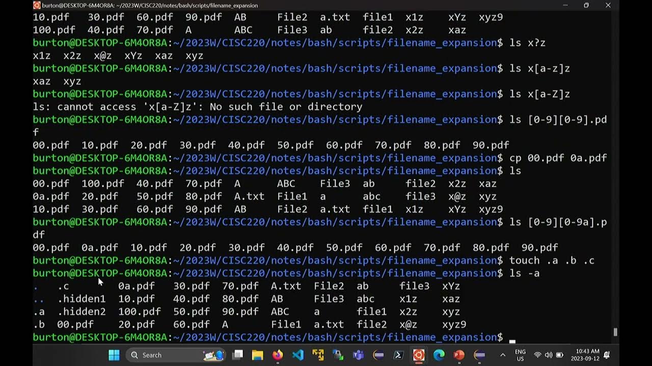 2023-09-12 CISC 220: Filename expansion and quoting - YouTube