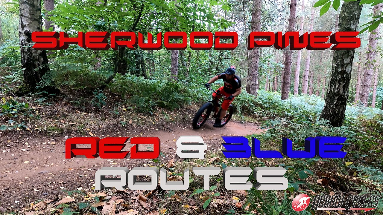 Sherwood Pines Red Route on MTBs and Blue on Gravel Bikes. - YouTube
