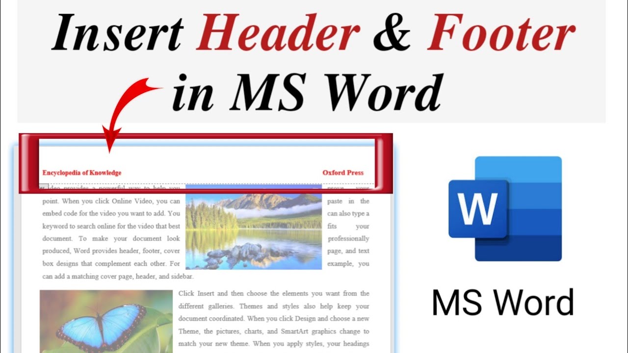 Add Header & Footer in MS Word|Apply Time & Date in MS Word|Insert Pics ...
