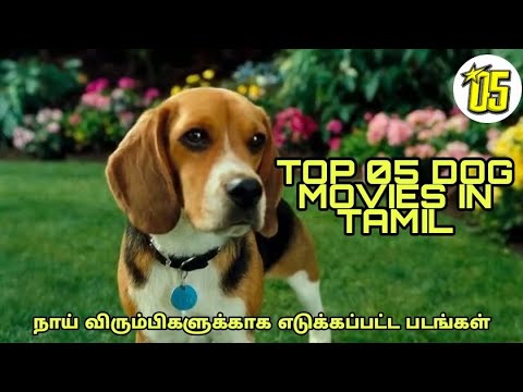 Top 05 Dog 🐕 Movies in Tamil Dubbed | Tamil Dubbed Hollywood Movies ...
