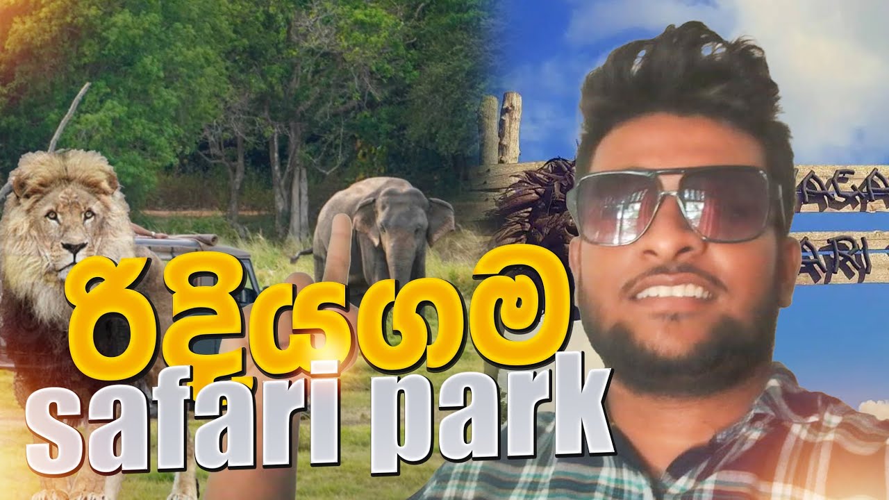 වල් අලි අතගාන්න , සින්හයෝ 🐯කොටි නිදහසේ බලන්න පුළුවන් එකම තැන | Travel with Dilmith - YouTube