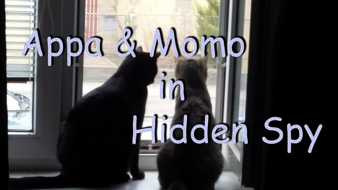 Appa & Momo: Hidden Spy - YouTube