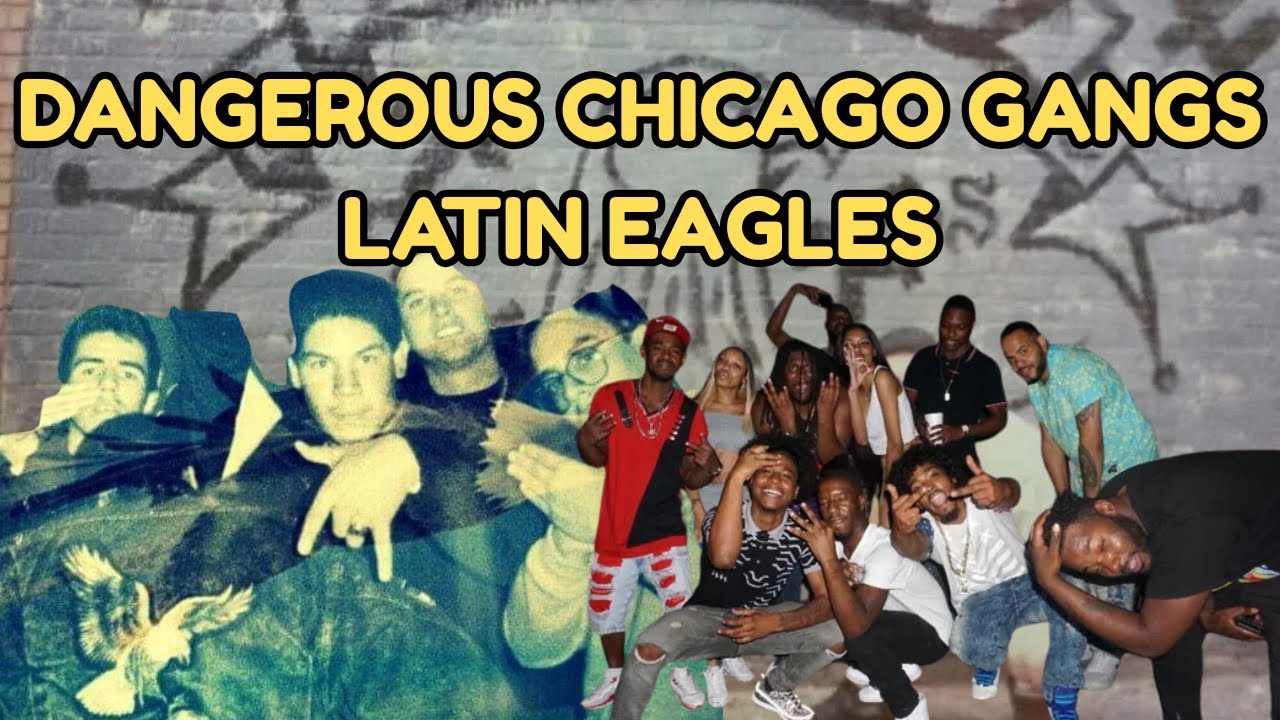 Dangerous Chicago Gangs: The Rise of the Latin Eagles Puerto Rican ...