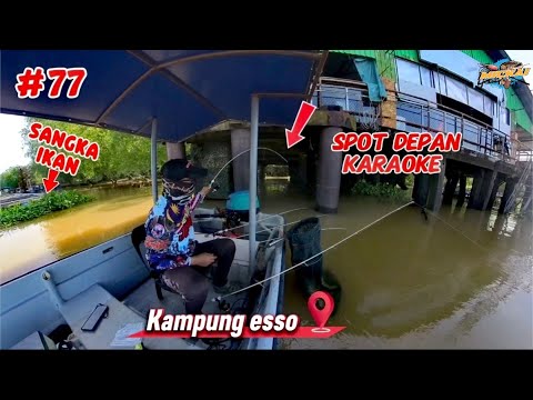 Spot  Viral‼️ Mancing Udang Galah Di Sungai Teluk Intan Perak 