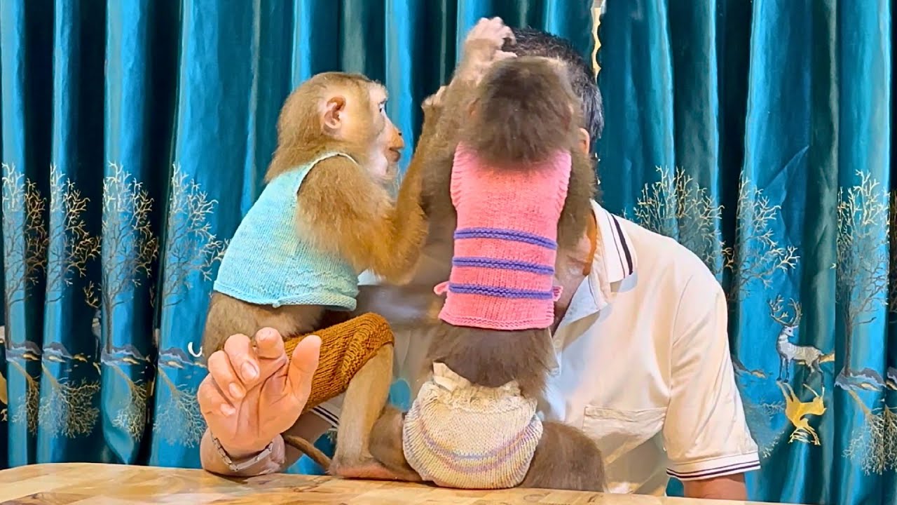 Sam boy & Asher take care of grandpa like a cute baby - YouTube