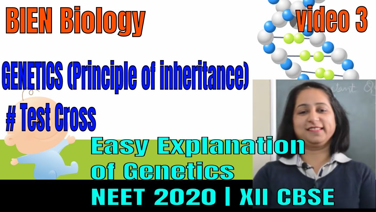 GENETICS | Test Cross (Made Easy) | XII NEETBiology 2020 | CBSE| ISC ...