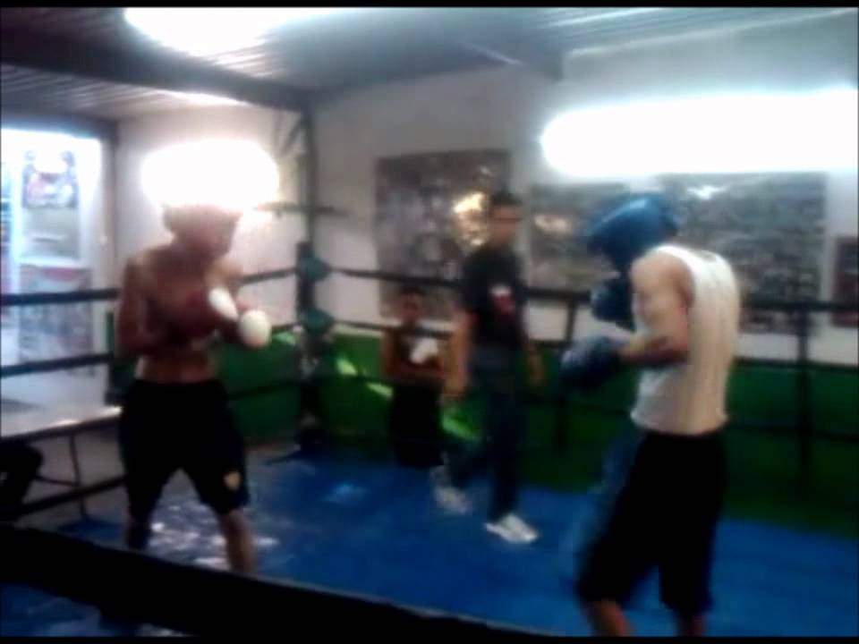 CARLOS ARIAS GALLO DE ORO VS VENADO MARTINEZ.wmv - YouTube
