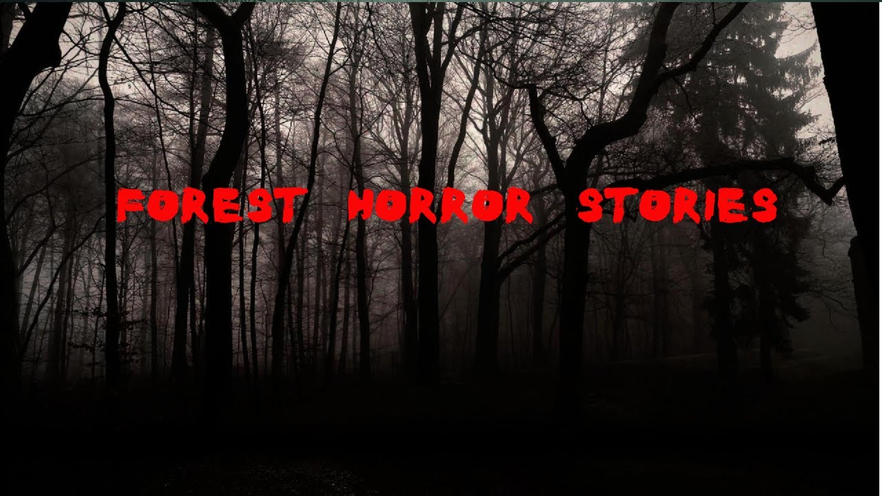 5 Most Disturbing True Forest Horror Stories - YouTube