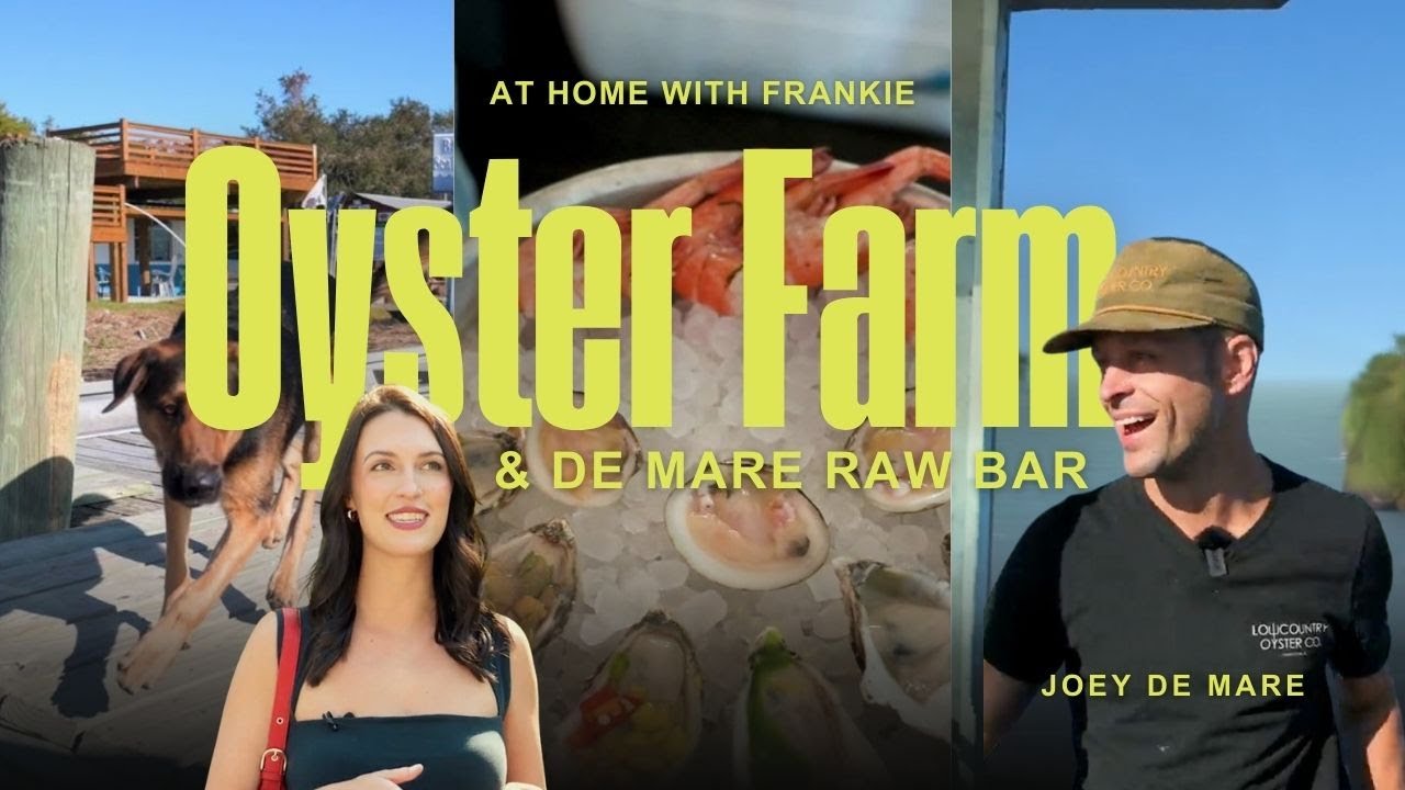Oysters Grown HOW?! A day on the farm exploring De Mare Raw Bar ...